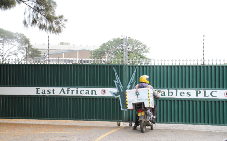 TransCentury suffers setback in Sh2.2 billion loan row with Equity Bank ...
