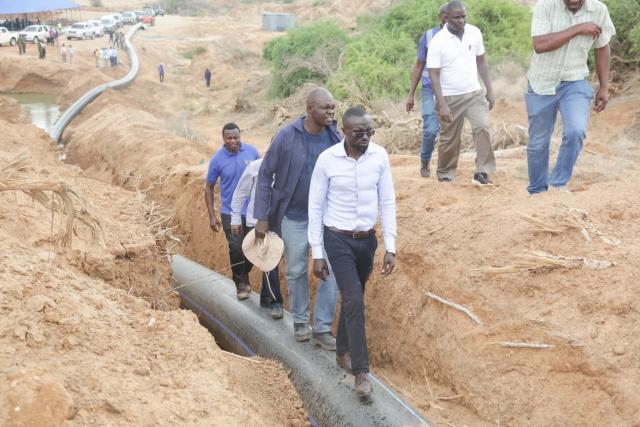 Maize production up as Galana Kulalu project scales to 1,500 acres ...
