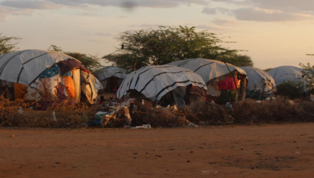 Amnesty faults international community of inaction over Somalia drought ...